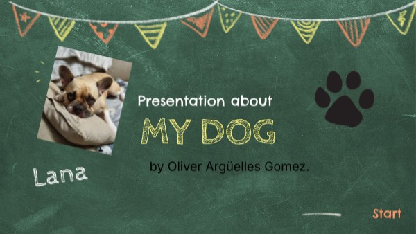 Presentation about my dog