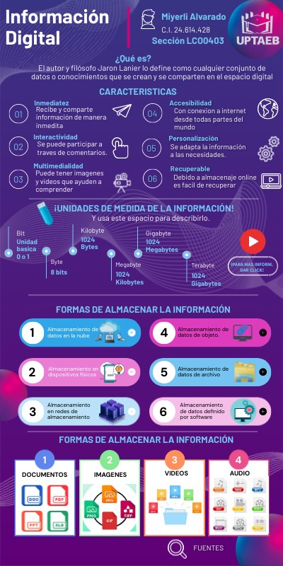 Infografia La información digital Miyerli Alvarado