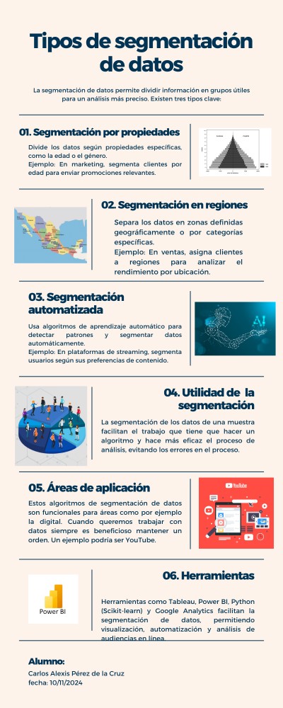 Infografía - Tipos de segmentación de datos