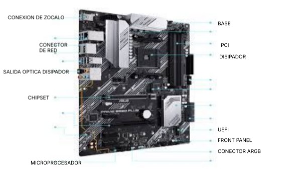 INFOGRAFIA PLACA BASE | Genially