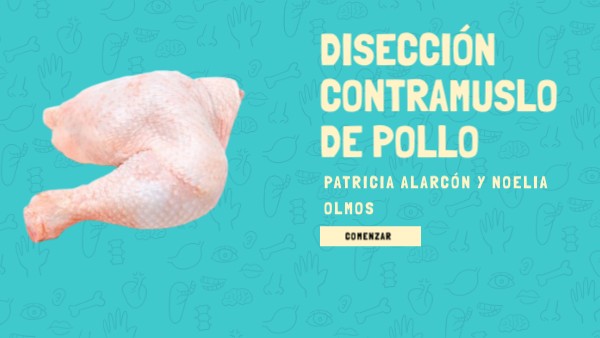 DISECCIÓN CONTRAMUSLO DE POLLO | Genially