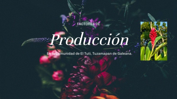 PRODUCCION EL TUTI