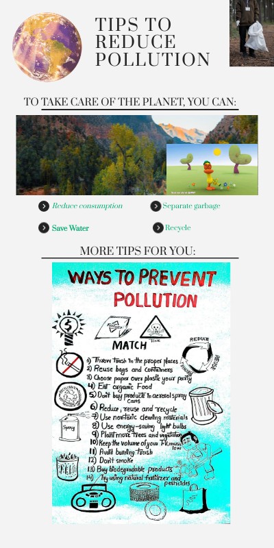 Reduce to Pollution Infographic | Genially