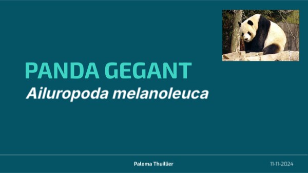 PANDA GEGANT | Genially