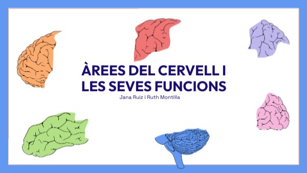 Àrees del cervell i les seves funcions | Genially