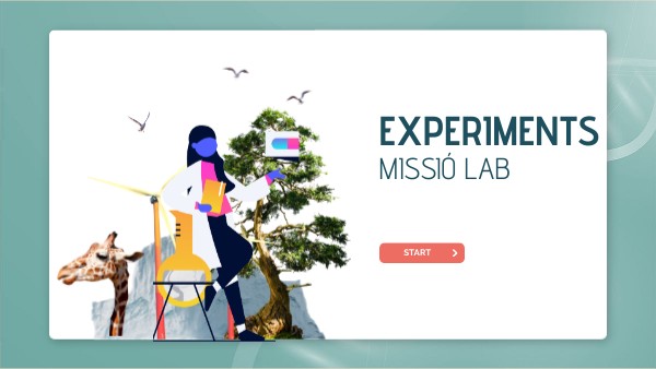 Experiments racons CM