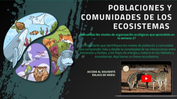 S3-03 Poblaciones y comunidades de los ecosistemas | Genially