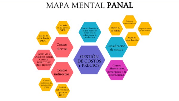 Mapa Mental Panal