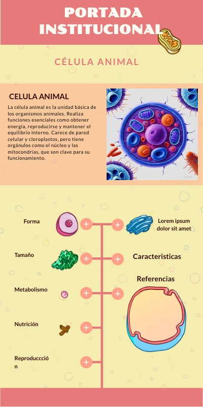 INFO VERTICAL CÉLULAS