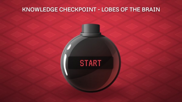 Knowledge Checkpoint 2_BOMB QUIZ