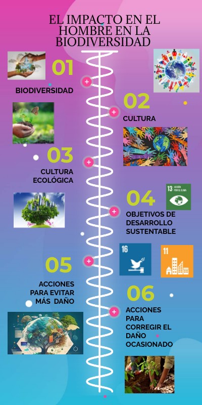 A01278424_A01278621_A01278400_A01278850_ Actividad Eje_Final