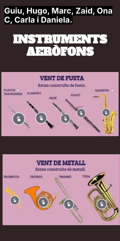 INSTRUMENTS AERÒFONS