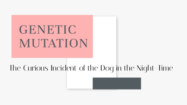 Présentation llce | Genially