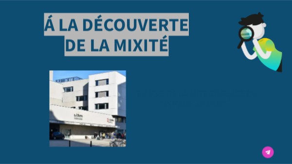 Formation MIXITÉ Diaporama DNMADE