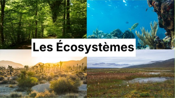 Les Écosystèmes