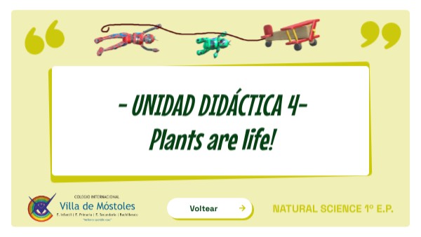 NS 1º - UD4 | Genially