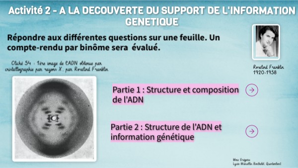 Structure de l'ADN et codage de l'information- 2nde
