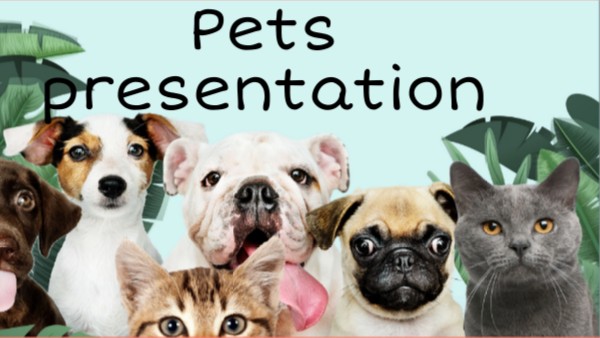 Pets presentation | Genially