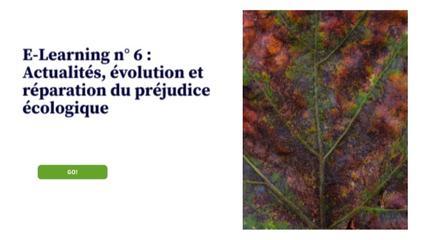 Module 6_Partie 1 | Genially