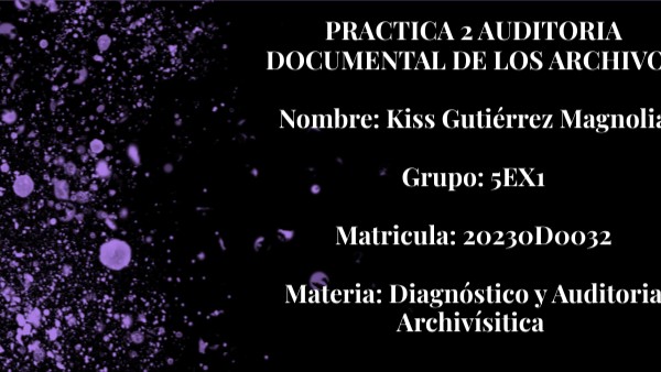 Auditoria Doc. de Arch