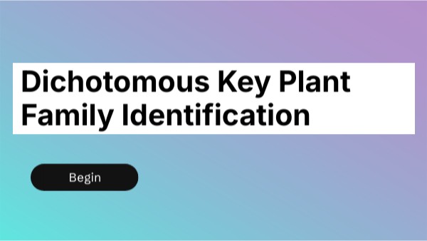 DELETE - Dichotomous Key Plant Family Identification | Genially