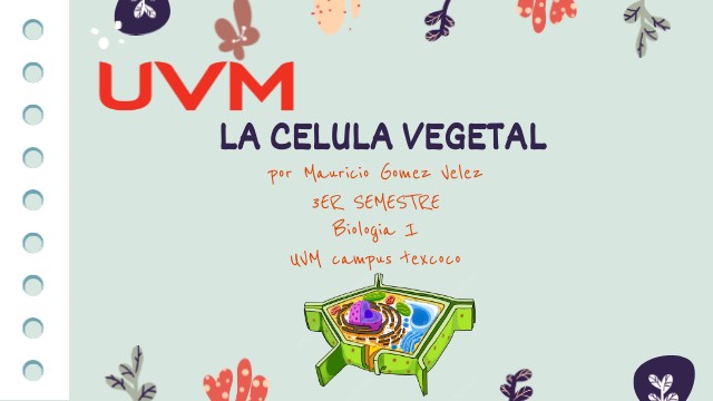 Proyecto La celula Vegetal