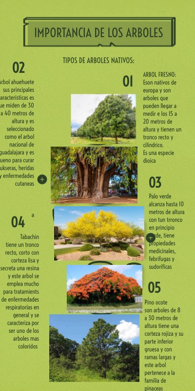 IMPORTANCIA DE LOS ARBOLES | Genially