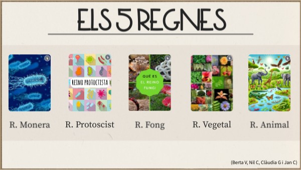 ELS 5 REGNES (Berta, Nil, Clàudia i Jan C)