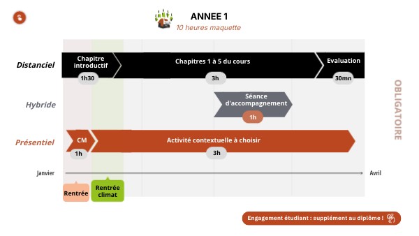 Programme module TEDS - 1ère année | Genially