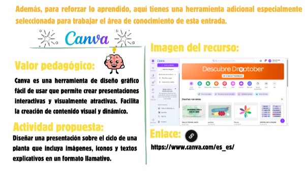Canva | Genially