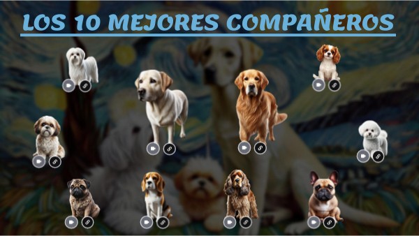 Tus 10 mejores compañeros