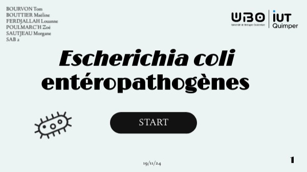 E coli pathogène