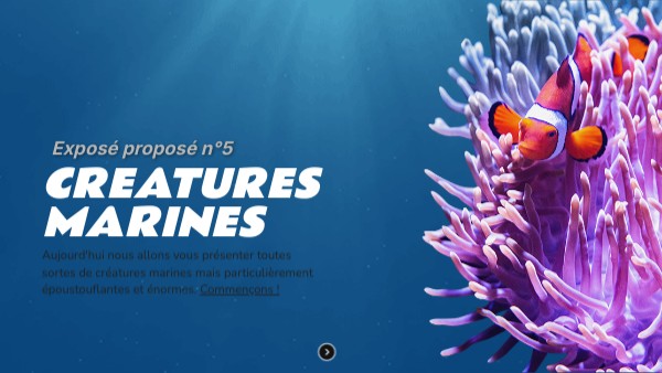 Présentation Marine