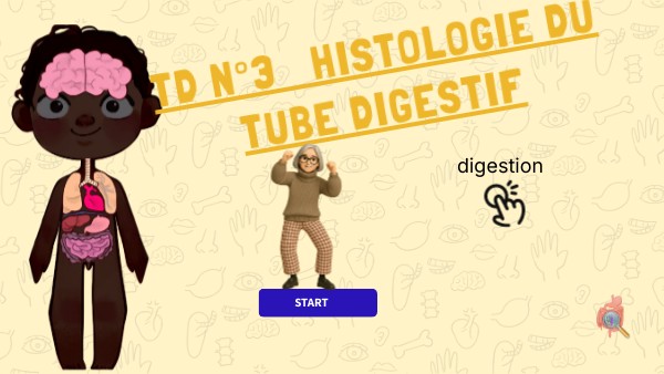 Jeu anatom | Genially