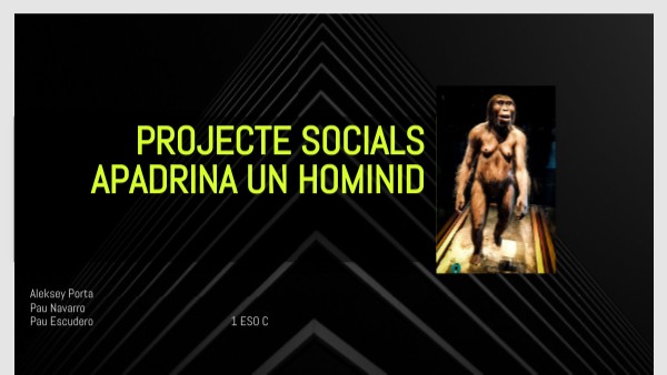 projecte socials
