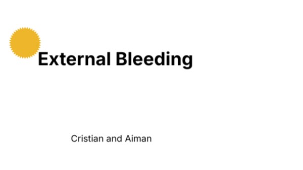 External Bleeding