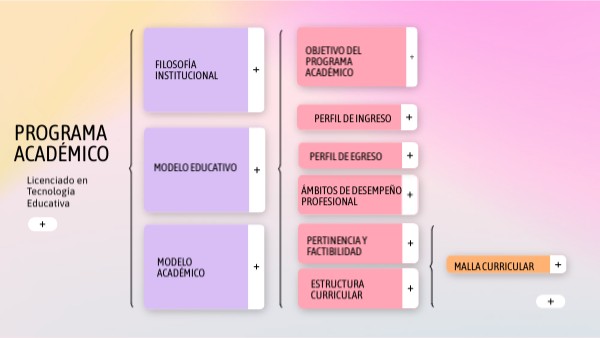 R3 PROGRAMA ACADÉMICO