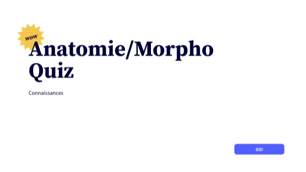 Quiz Anatomie | Genially