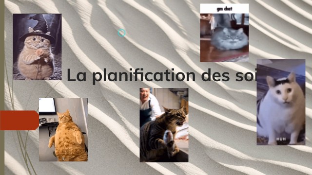 thÃ©orie planification.pptx | Genially