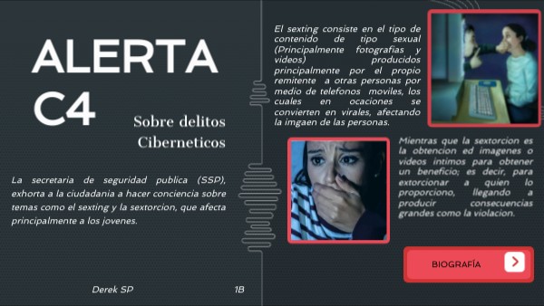 Alerta C4 sobre los delitos cibernéticos