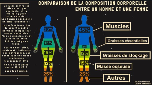 Comparaison de la composition corporelle entre un homme et une femme