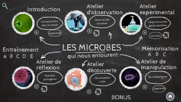 Les microbes qui nous entourent 2024