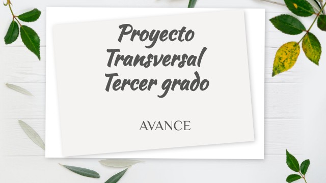Avance proyecto transversal