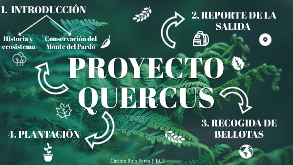 Proyecto Quercus