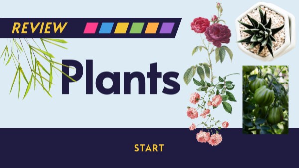 Plants - CKLA Knowledge 4