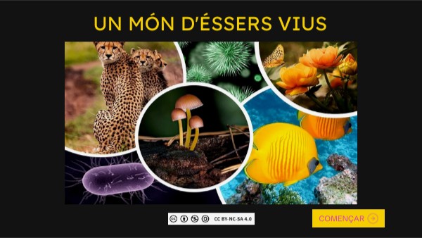 Un món d'éssers vius