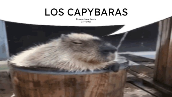 capybara