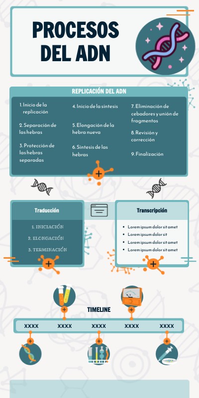 Infografia de los procesos del ADN | Genially
