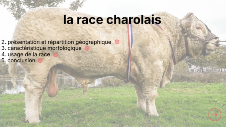 présentation d'une race bovine