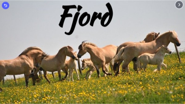 group 1 race | Genially